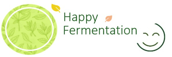 Lactofermentationannespataro3